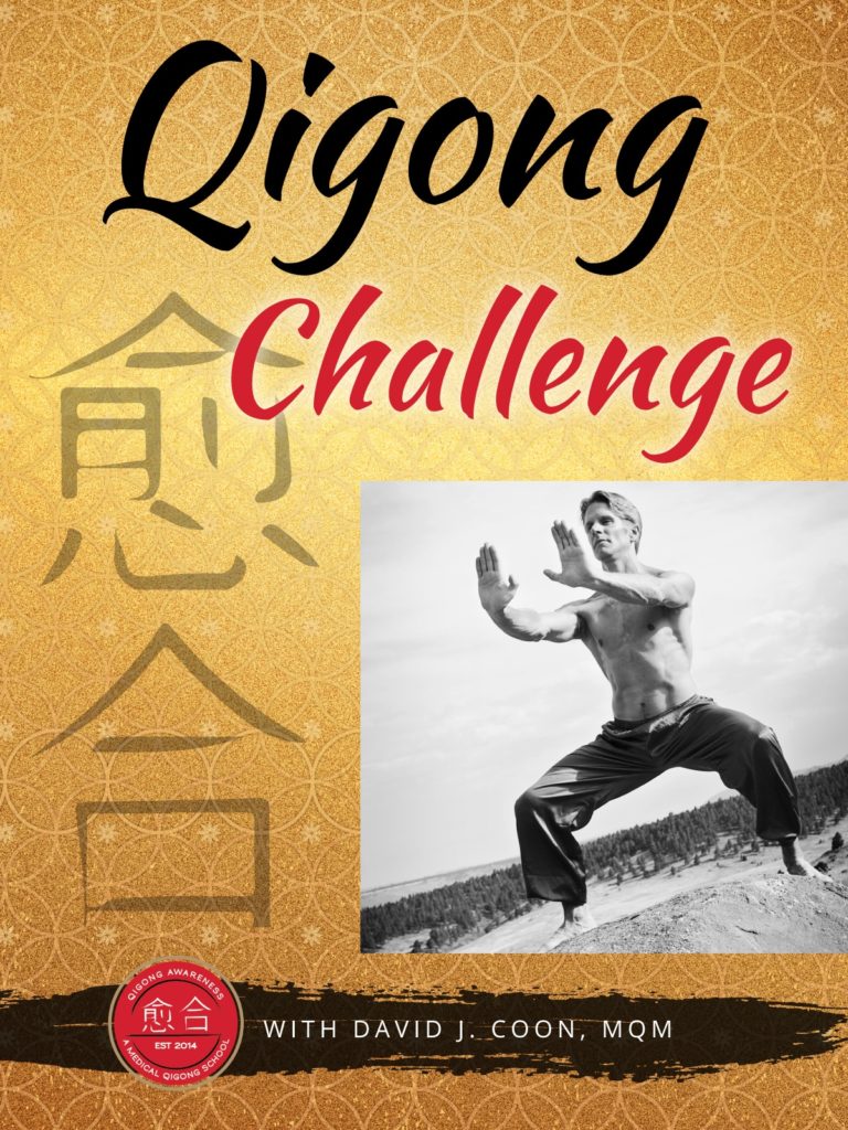 Qigong Training Videos - Qigong Awareness